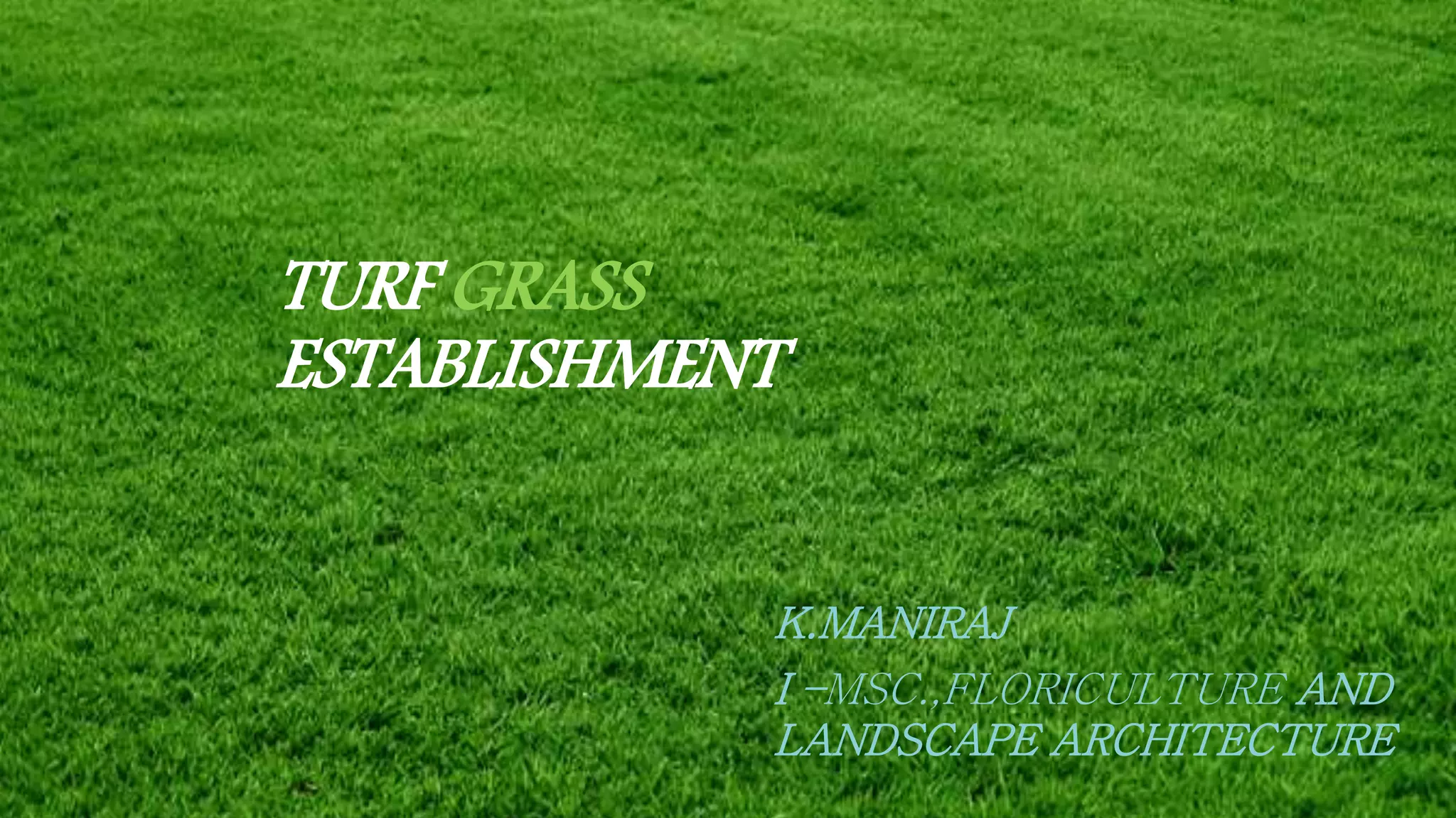 STEPS IN ESTABLISHMENT OF TURF GRASS | PPTX