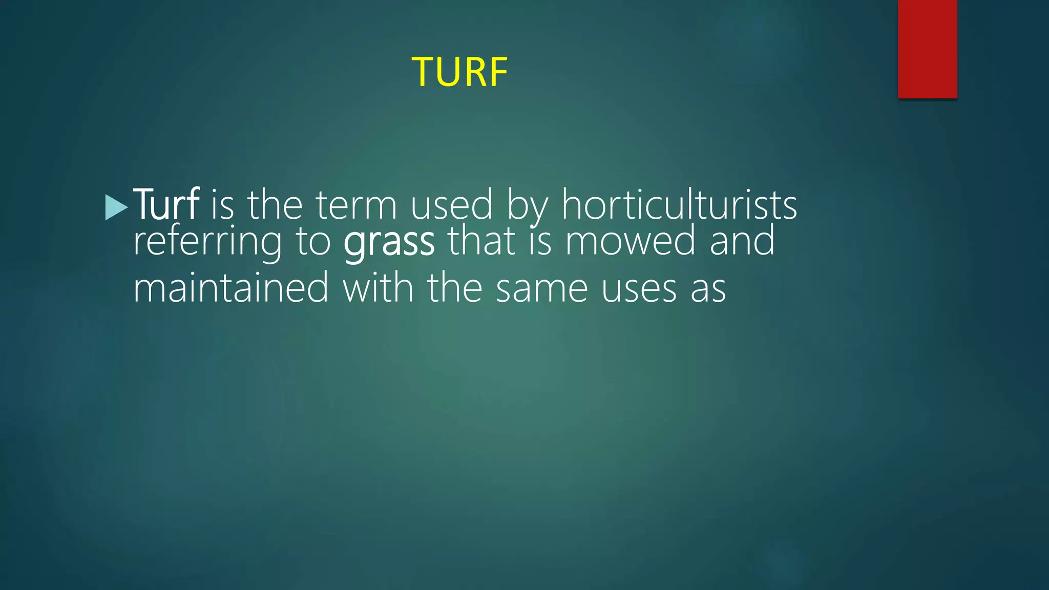 STEPS IN ESTABLISHMENT OF TURF GRASS | PPTX