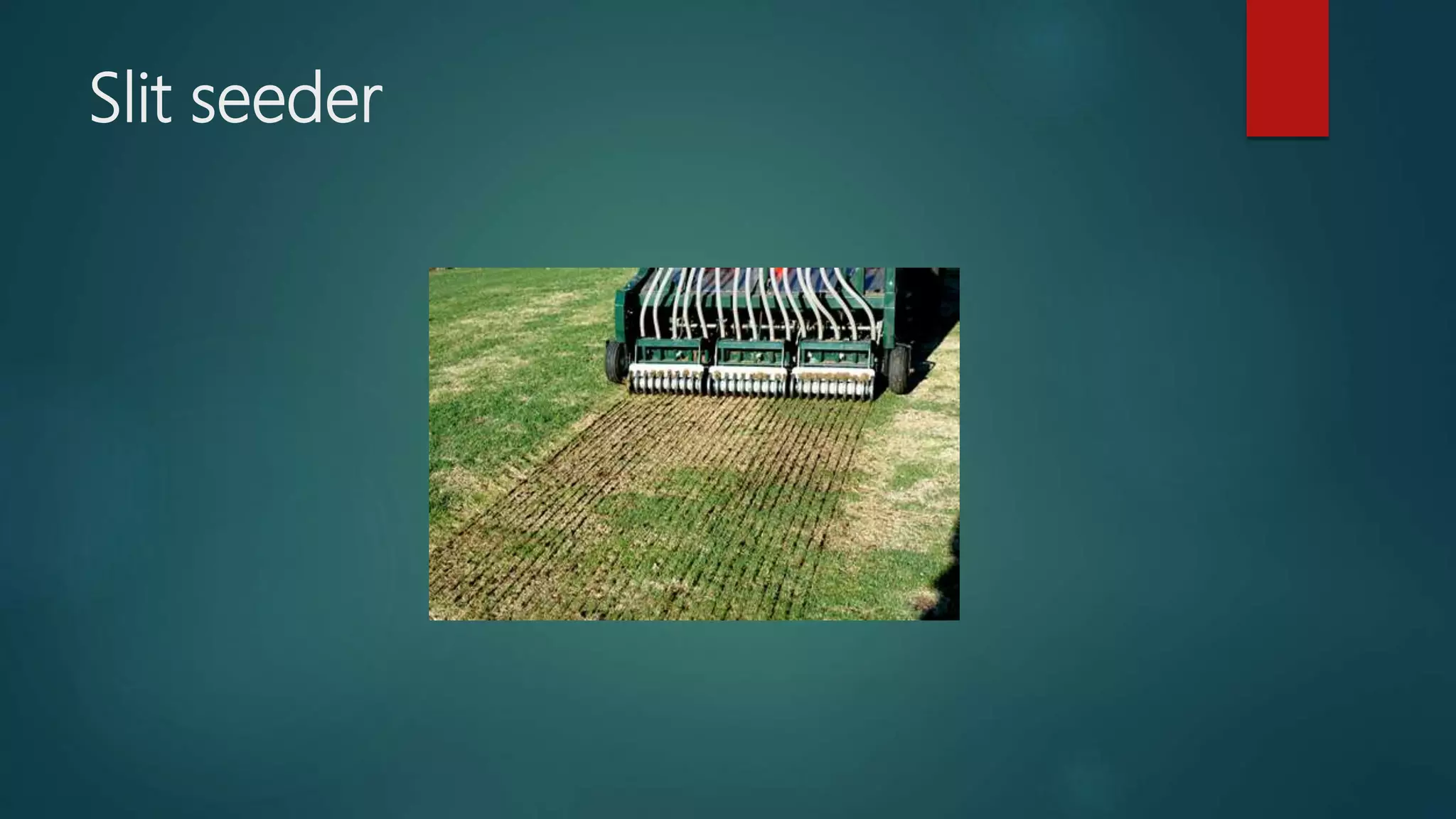 STEPS IN ESTABLISHMENT OF TURF GRASS | PPTX