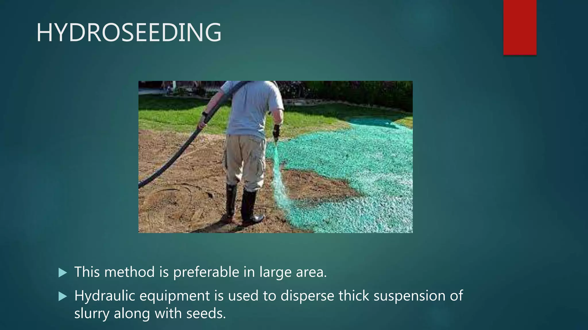 STEPS IN ESTABLISHMENT OF TURF GRASS | PPTX