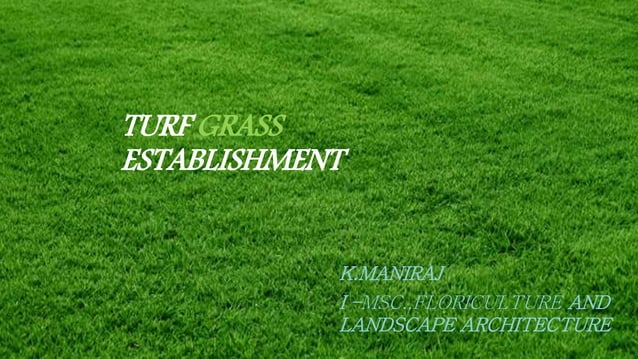 STEPS IN ESTABLISHMENT OF TURF GRASS | PPTX | Gardening | Home & Garden
