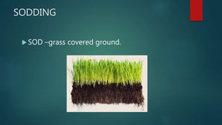 STEPS IN ESTABLISHMENT OF TURF GRASS | PPTX