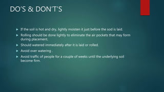 STEPS IN ESTABLISHMENT OF TURF GRASS | PPTX