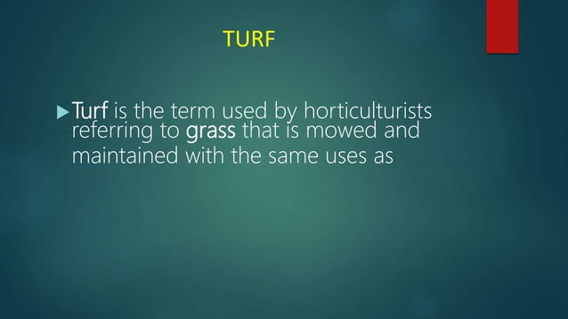 STEPS IN ESTABLISHMENT OF TURF GRASS | PPTX | Gardening | Home & Garden