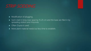 STEPS IN ESTABLISHMENT OF TURF GRASS | PPTX