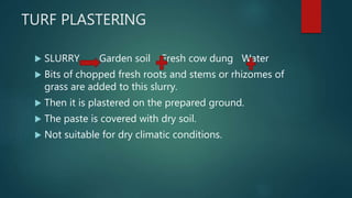 STEPS IN ESTABLISHMENT OF TURF GRASS | PPTX