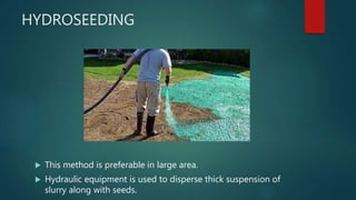 STEPS IN ESTABLISHMENT OF TURF GRASS | PPTX