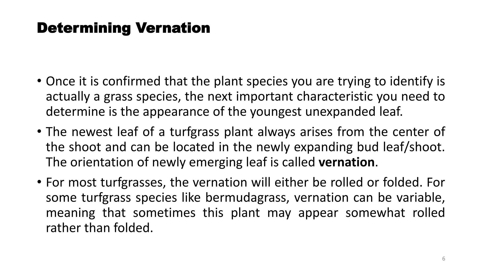 Introduction to Grasses: Turfgrass Management | PDF