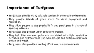 Introduction to Grasses: Turfgrass Management | PDF