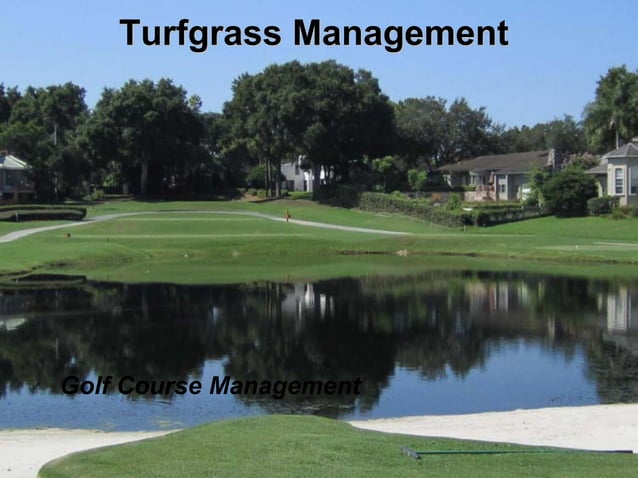Turfgrass management and culture | PDF