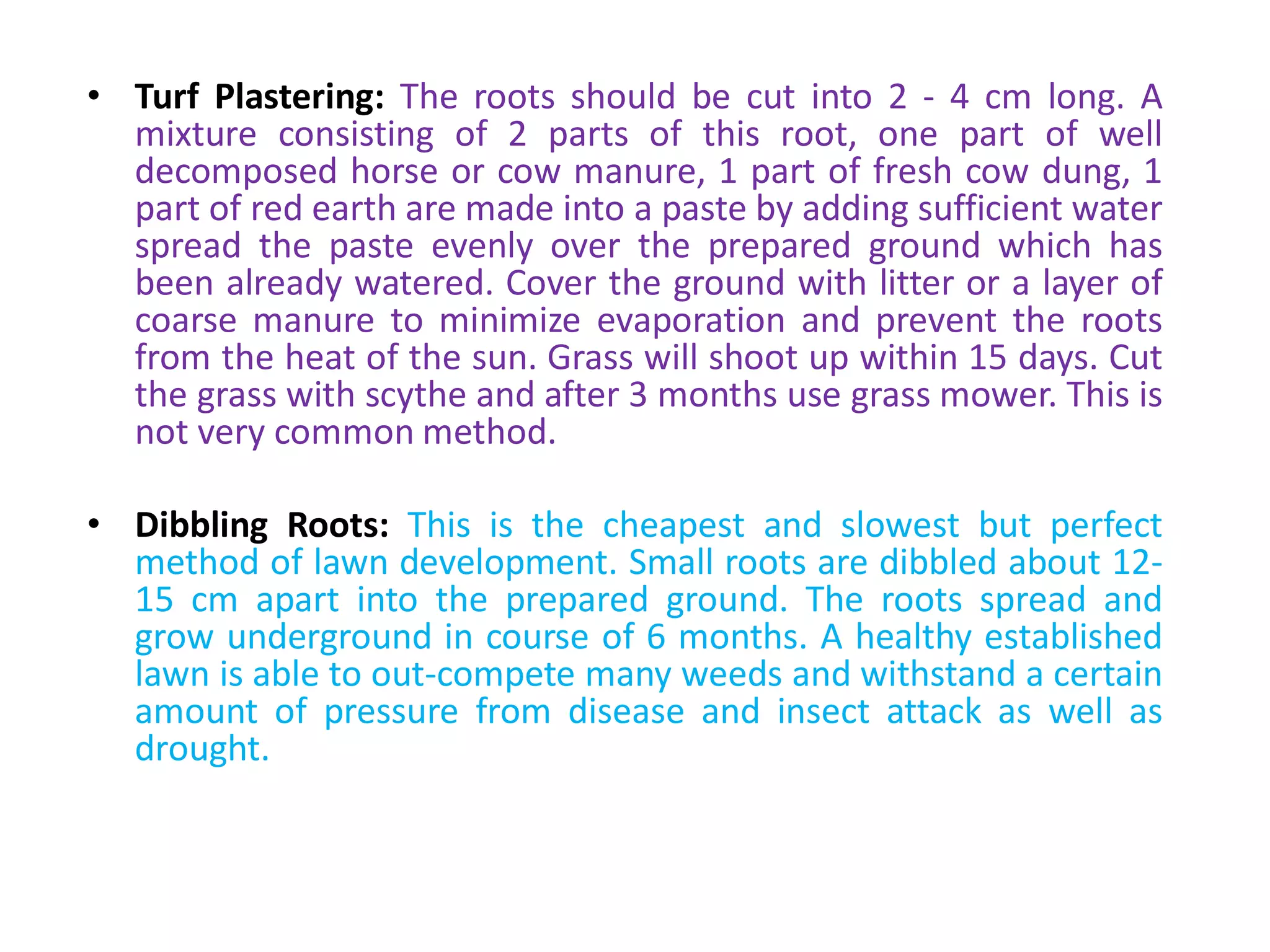 Turf grass pdf | PDF