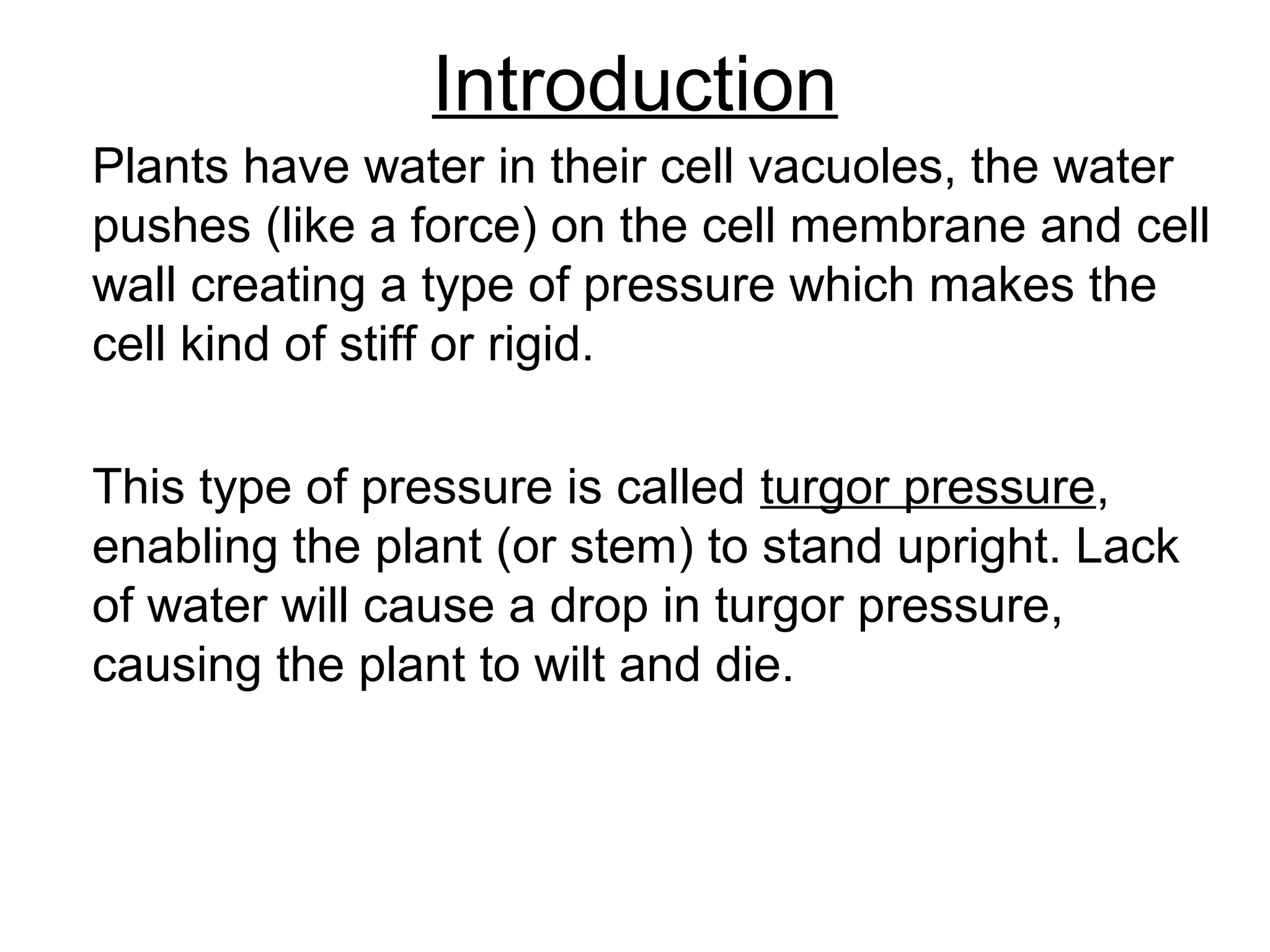 Turgor pressure lab | PPT