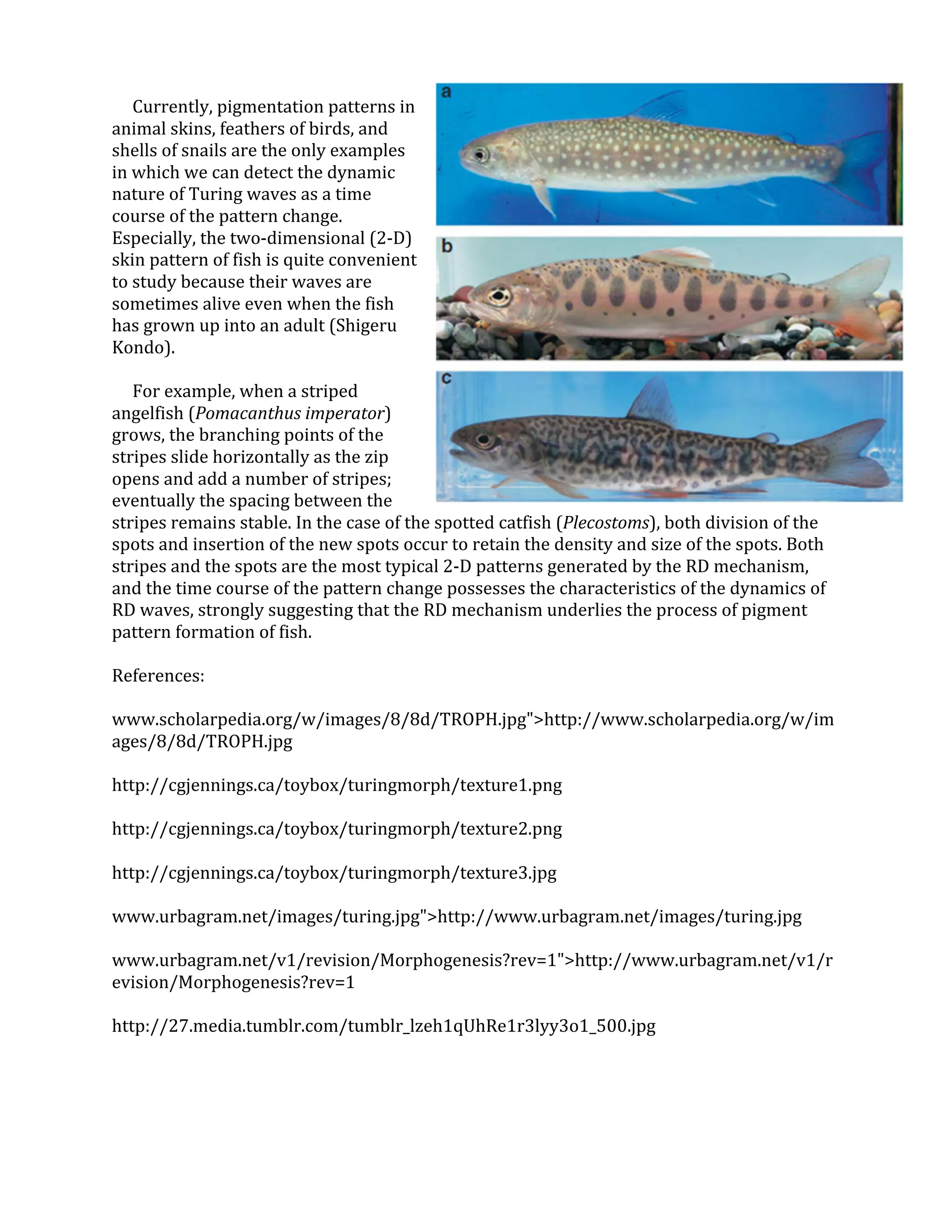 Turing fibonacci numbers | PDF