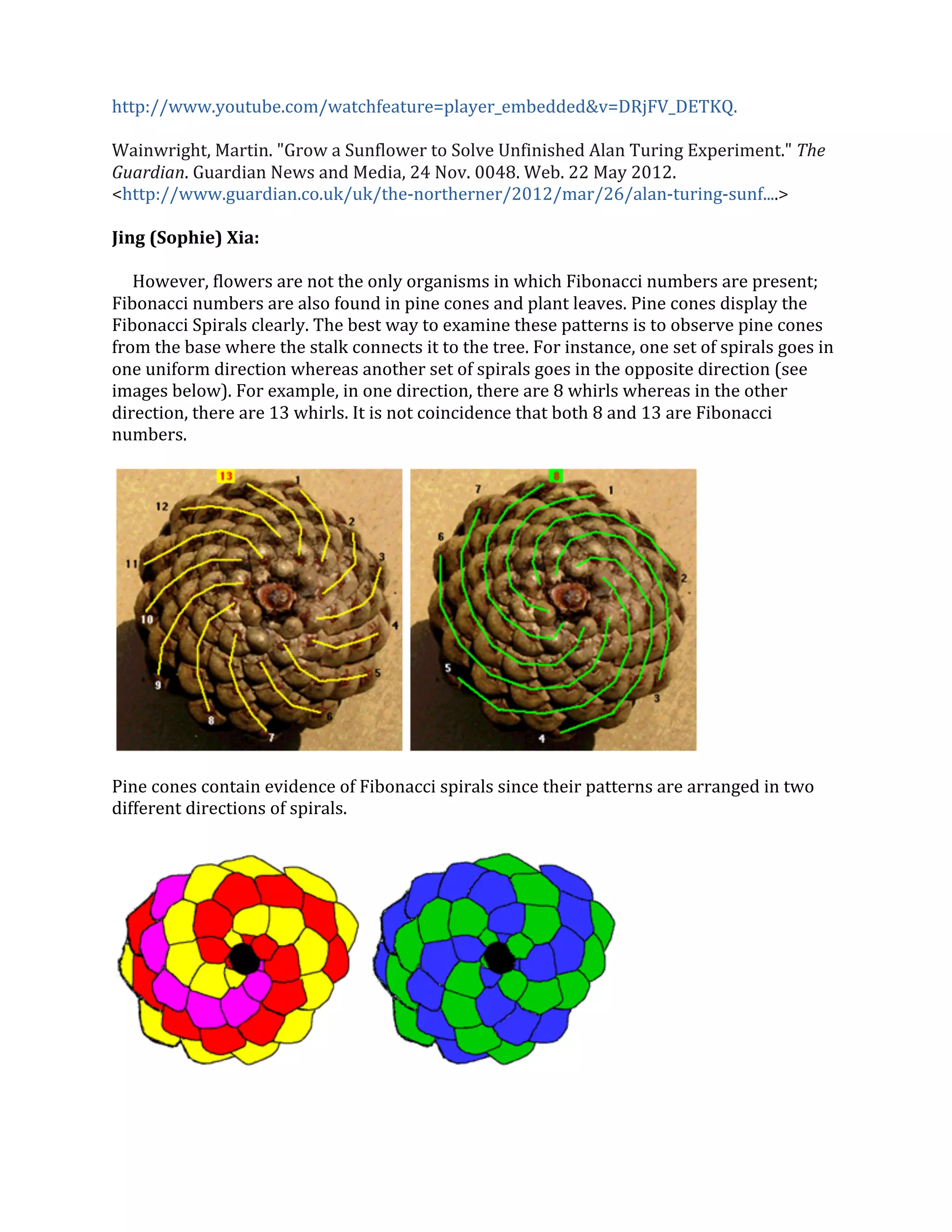 Turing fibonacci numbers | PDF