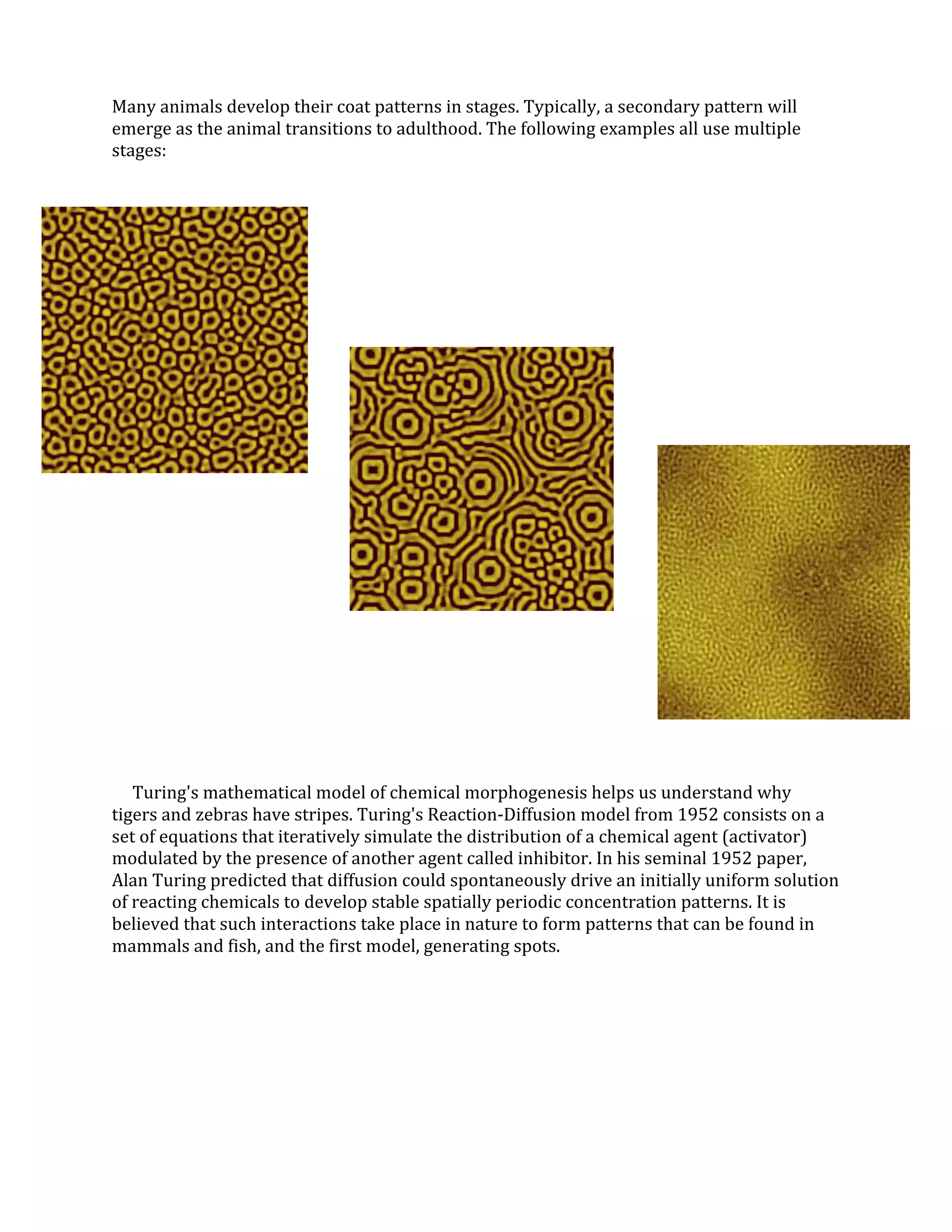Turing fibonacci numbers | PDF