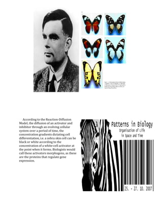 Turing fibonacci numbers | PDF