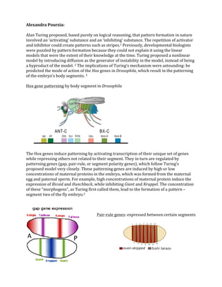 Turing fibonacci numbers | PDF
