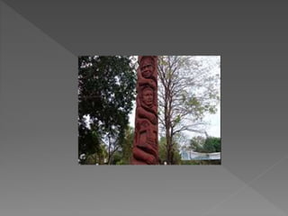 Turismo de robore | PPTX