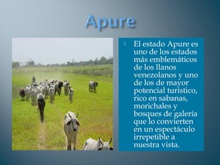 Turismo en venezuela definitivo2 | PPT