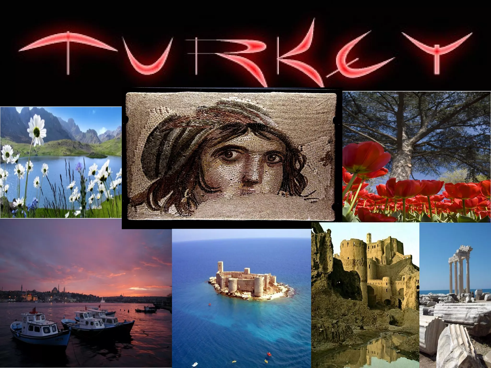 Turkey | PPT