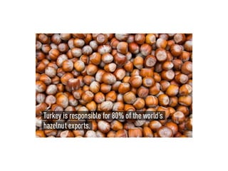 INTERESTING FACTS ABOUT Turkey | PPT