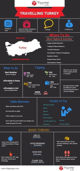 Turkey Travelling Infographic - Trippongo | PDF