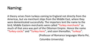 Turkey | PPTX
