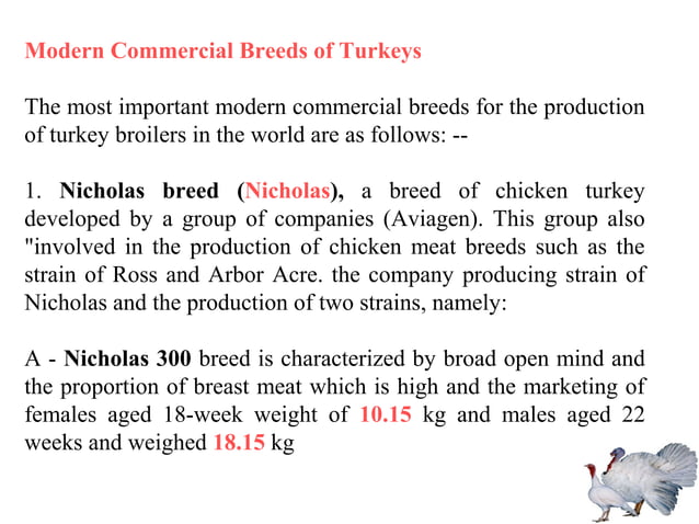 Turkey and poultry meat production | PPT