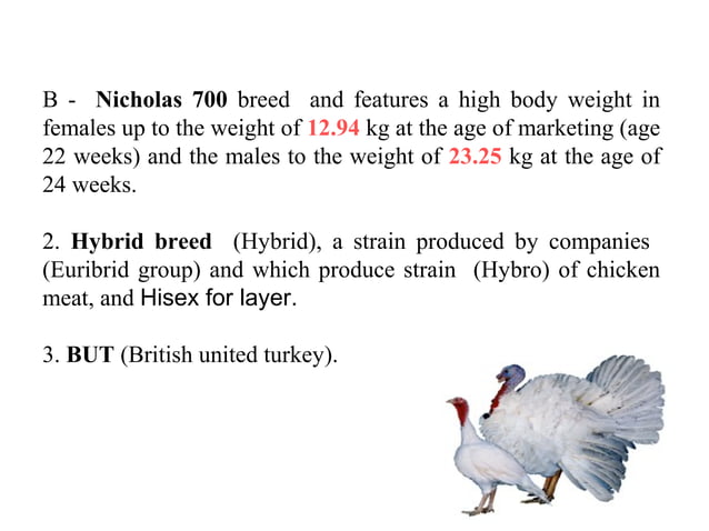 Turkey and poultry meat production | PPT