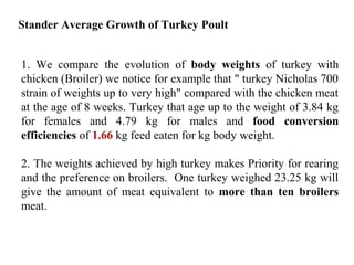 Turkey and poultry meat production | PPT