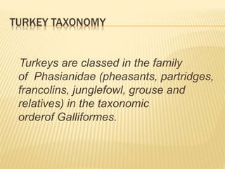 Turkey farming | PPTX