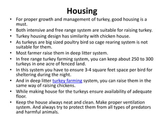 turkey farming.pptx