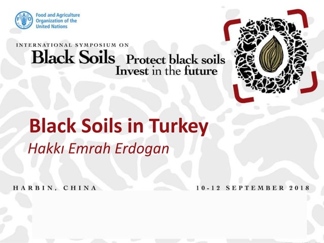 Black Soils in Turkey - Hakkı Emrah Erdogan | PDF | Geography | Science