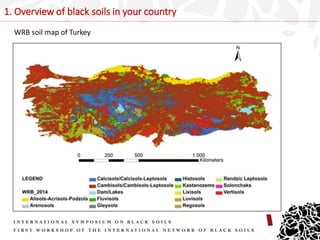Black Soils in Turkey - Hakkı Emrah Erdogan | PDF
