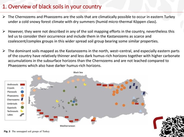 Black Soils in Turkey - Hakkı Emrah Erdogan | PDF | Geography | Science
