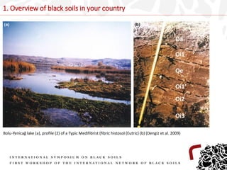 Black Soils in Turkey - Hakkı Emrah Erdogan | PDF | Geography | Science