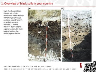 Black Soils in Turkey - Hakkı Emrah Erdogan | PDF