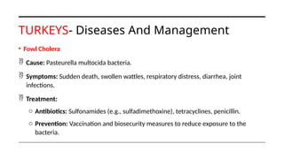 TURKEYS – COMMON DISEASES AND THEIR MANAGEMENT[1].pptx
