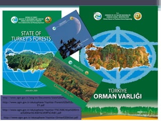 Turkey's forests | PPTX
