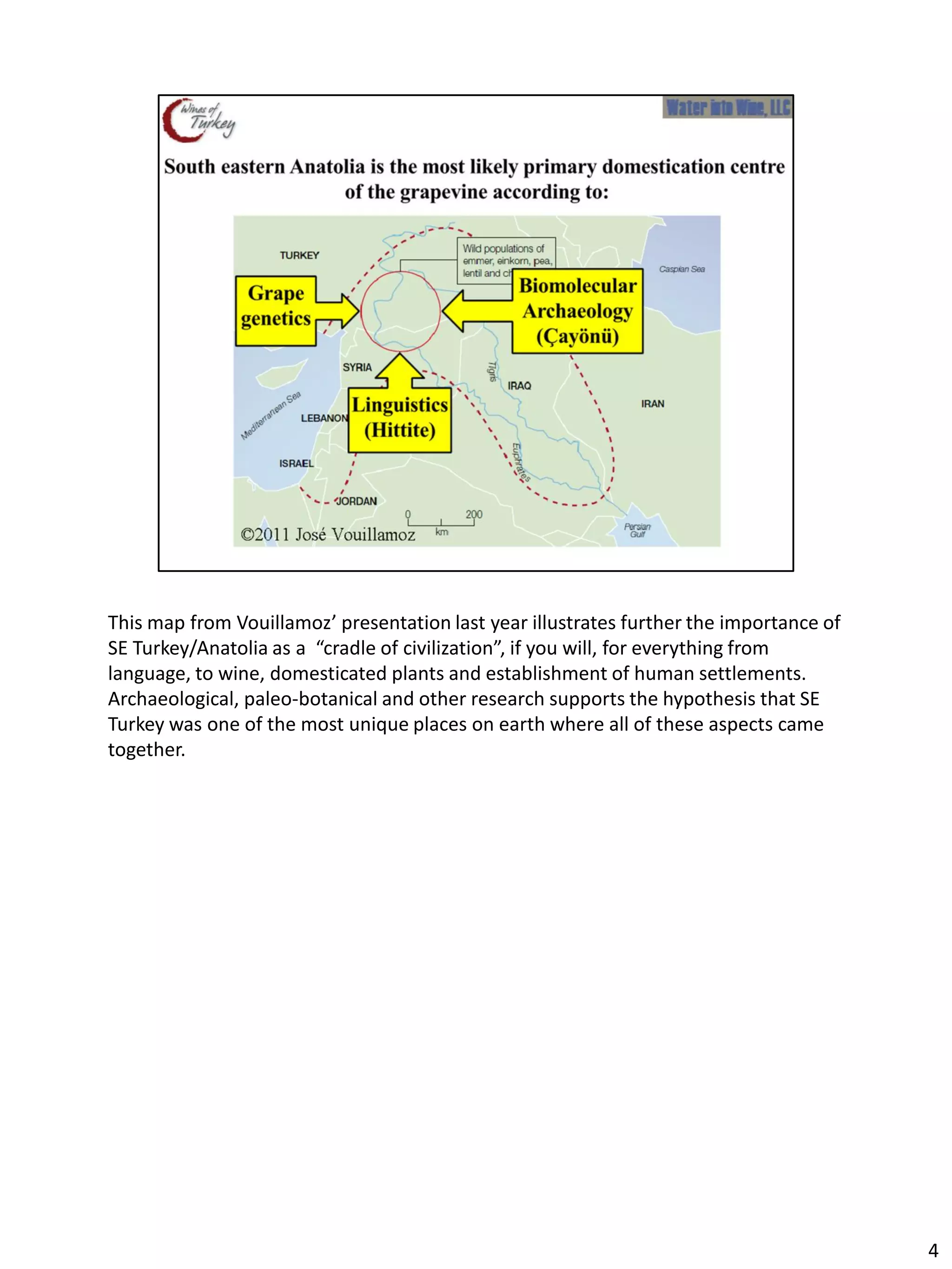 Turkey's indigenous wine varieties 1025notes | PDF