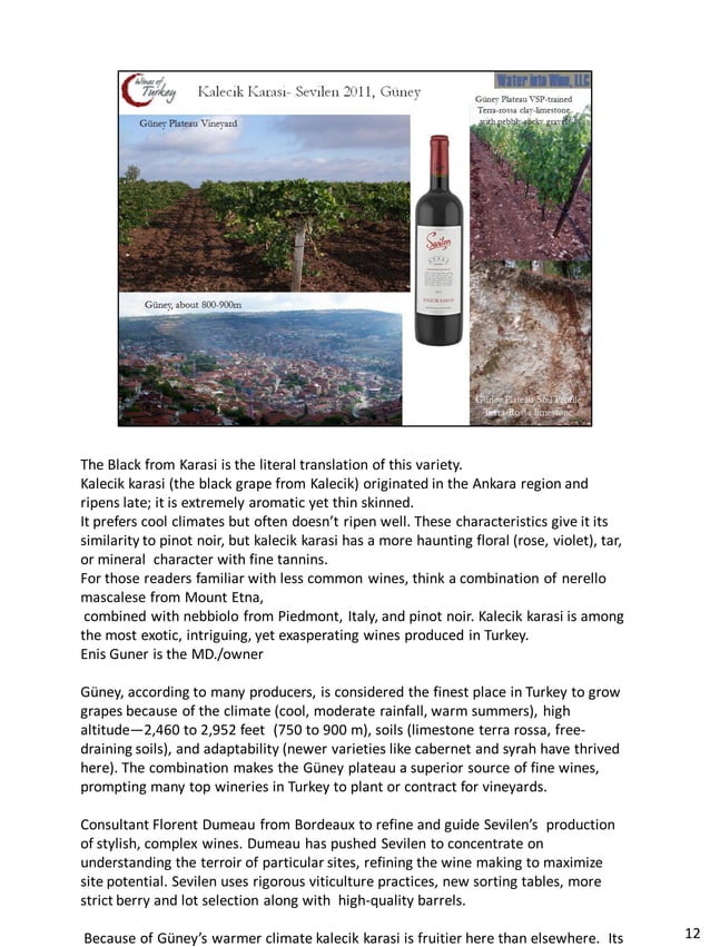 Turkey's indigenous wine varieties n otes 11812 | PDF