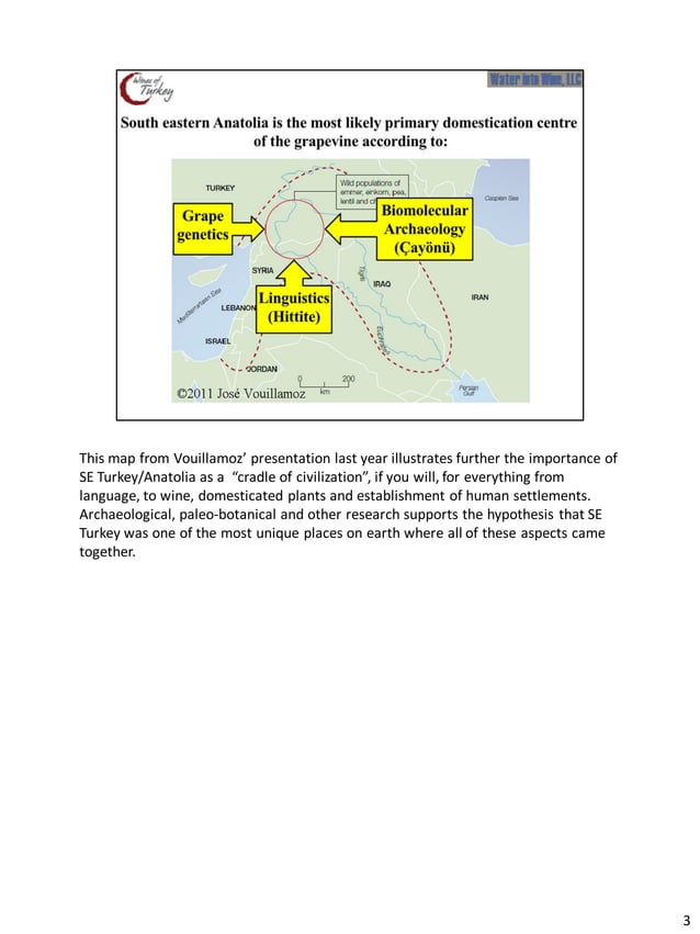 Turkey's indigenous wine varieties n otes 11812 | PDF