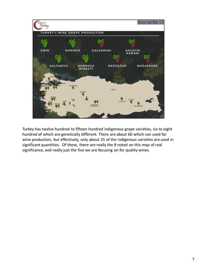 Turkey's indigenous wine varieties n otes 11812 | PDF
