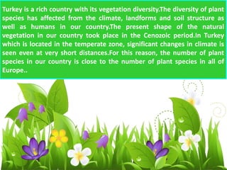 Turkey's' vegetation | PPT