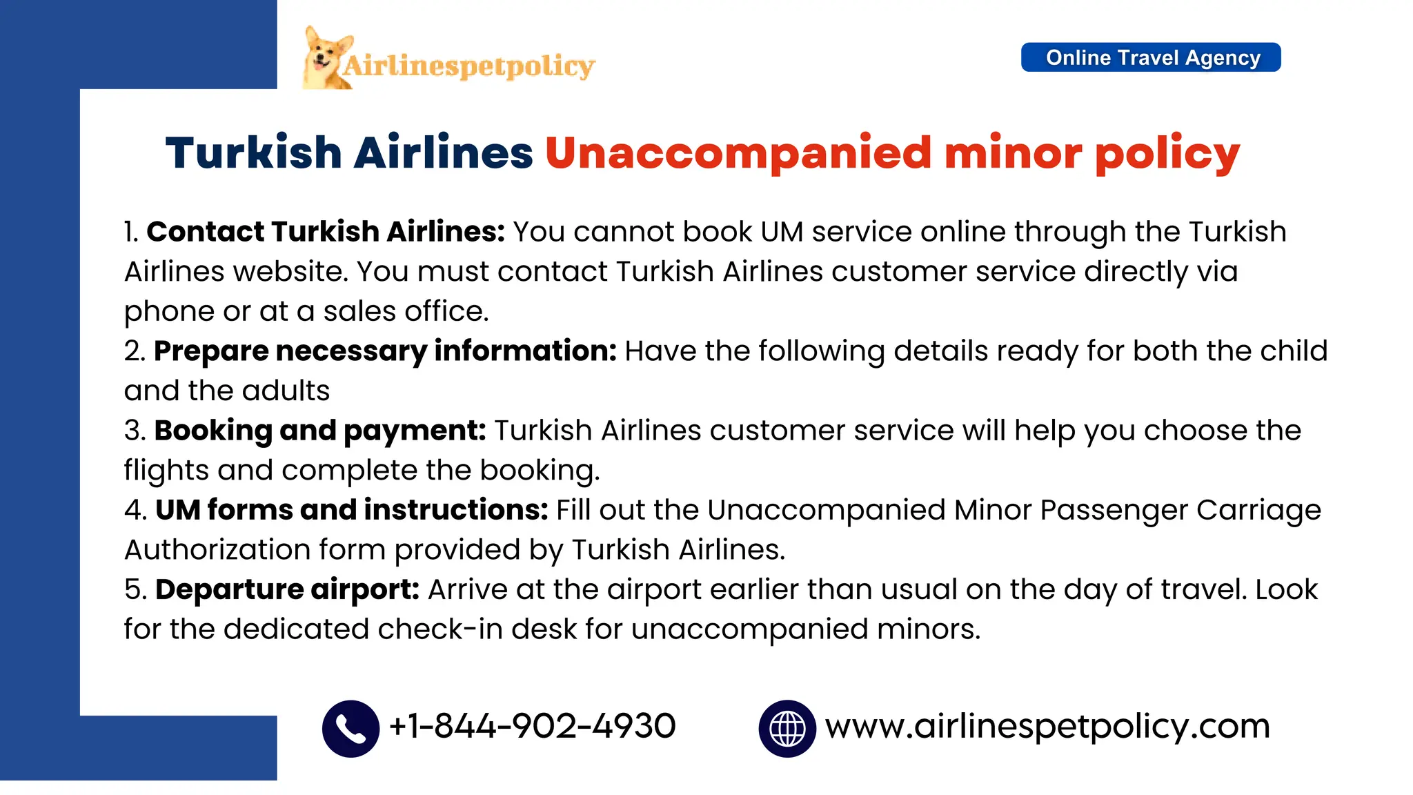 What is Turkish Airlines Unaccompanied Minor Policy? | PDF