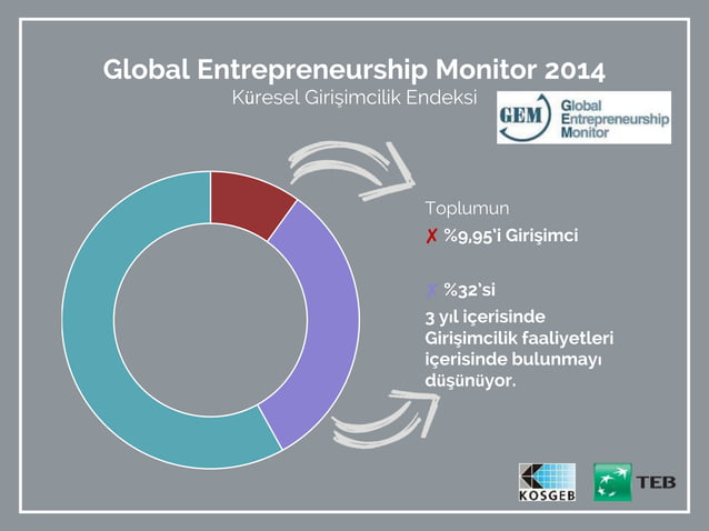 Turkiyede girisimcilik | PPT