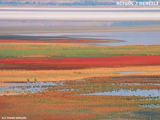 Turkiye Dogasi | PPS