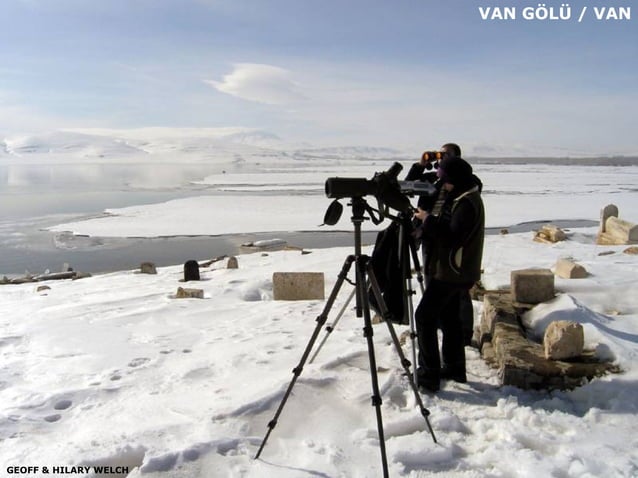 Turkiye Dogasi | PPS