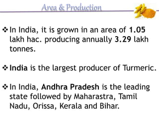 Scientific cultivation of Turmeric | PPTX