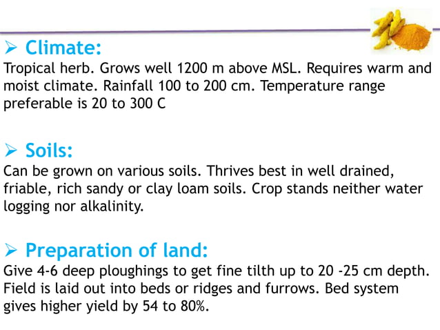 Scientific cultivation of Turmeric | PPTX